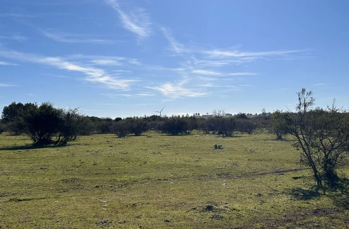 Chacra de 40 Hectáreas En Venta-Montevideo Rural